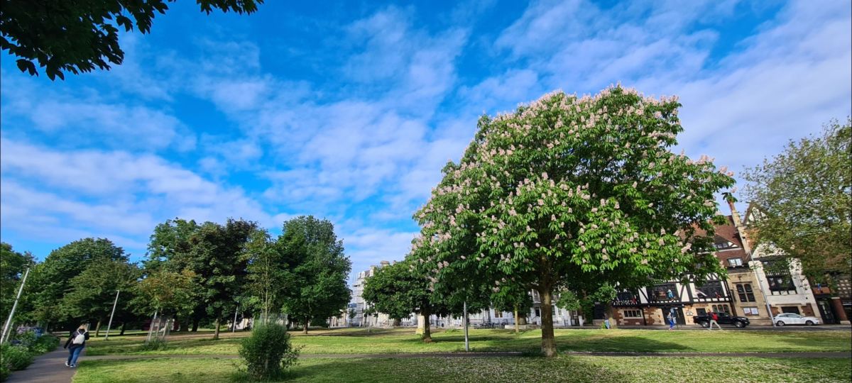 Anger Management – Soothing Strolls